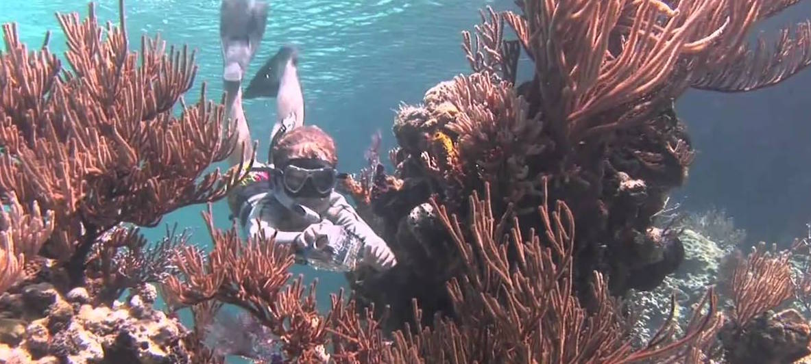 Providence Children's Film Festival | Gus Outdoors: Lizard Town ...