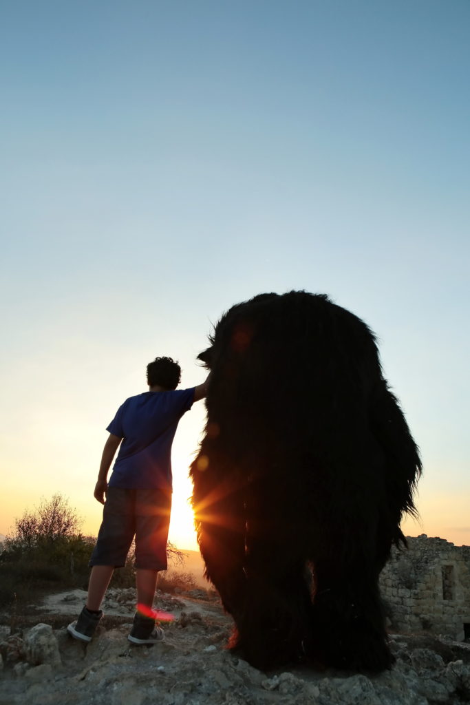 Providence Children's Film Festival | Abulele - Providence Children's ...